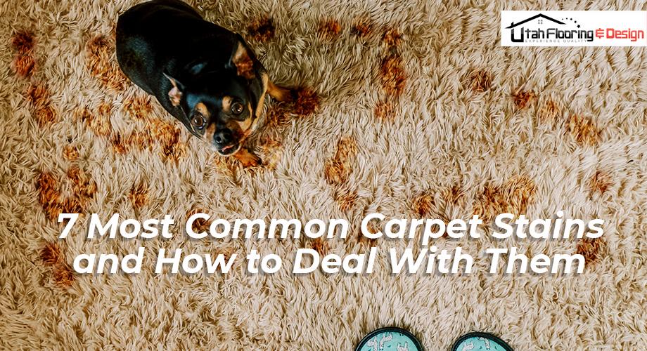 Carpet Stain Issues and remedies - Utah Flooring & Design
